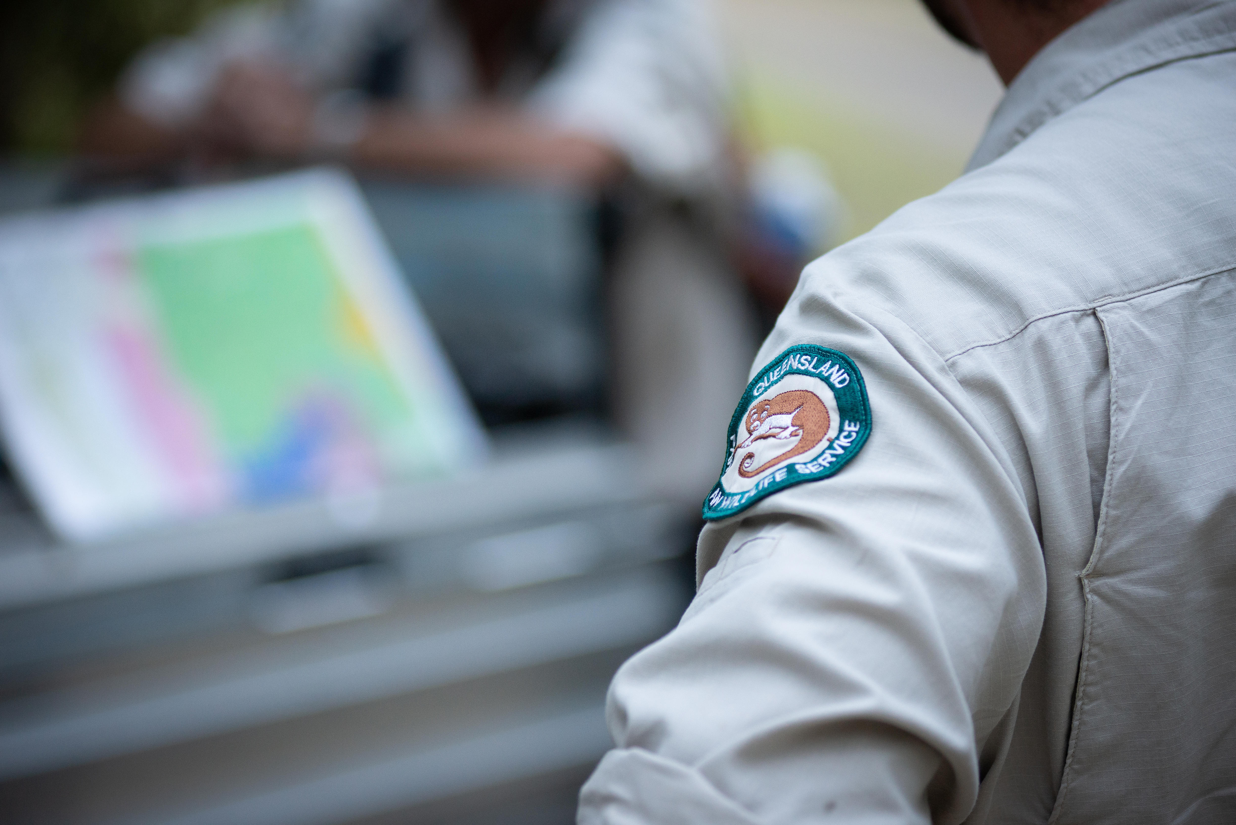 Global warming drives Wet Tropics possum species from their mountain ...