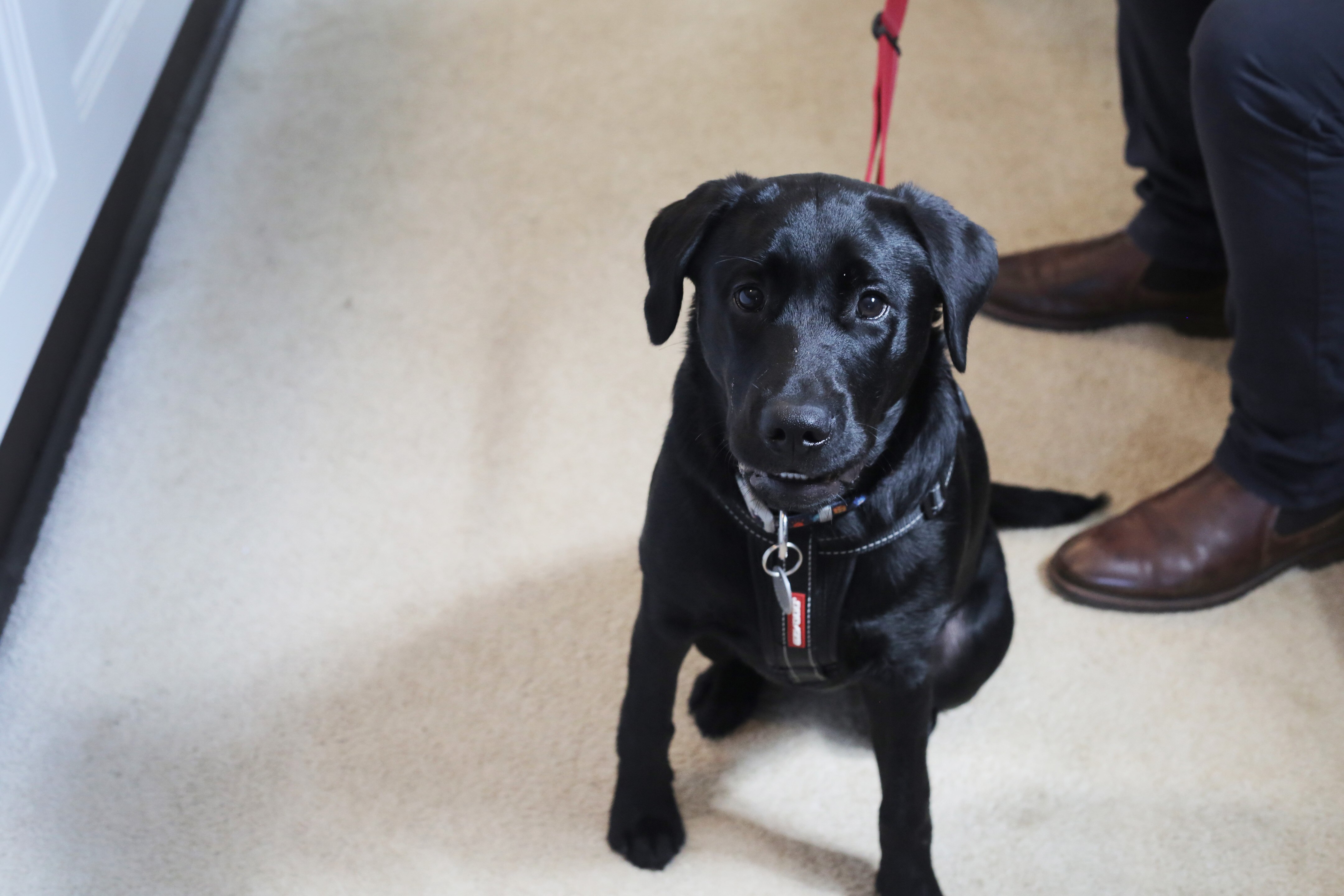 Loch post office run by volunteers delivers antique charm and community ...