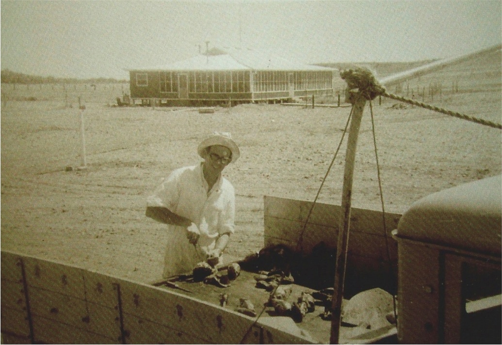 Fowlers Gap research station still important to global science after 50 ...