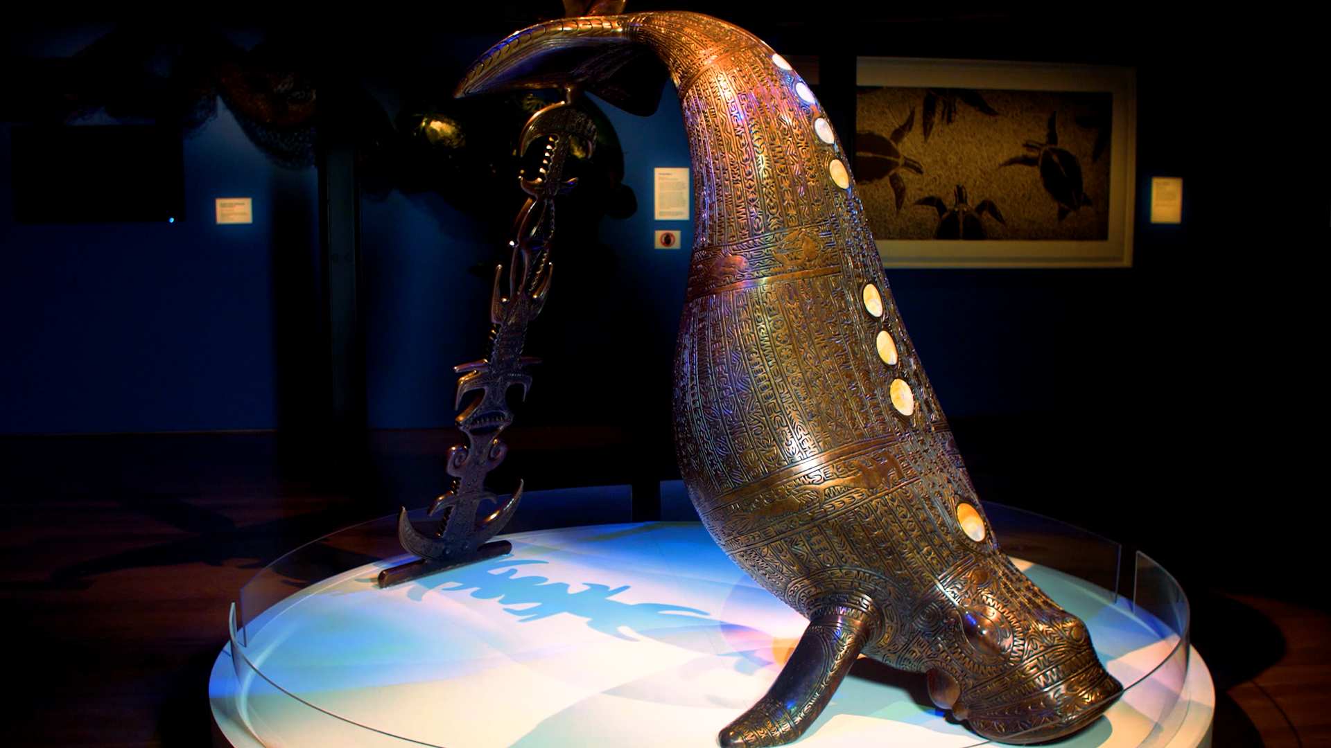 Importance of dugongs for Torres Strait Islander peoples - ABC Education