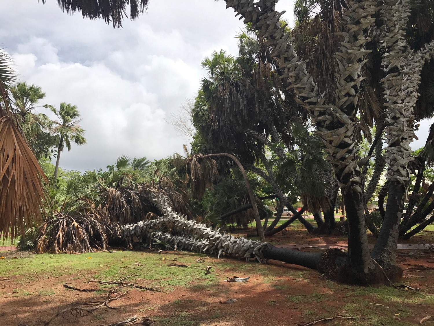 Cyclone Joyce to cross WA's Kimberley coast as a category one as risk ...