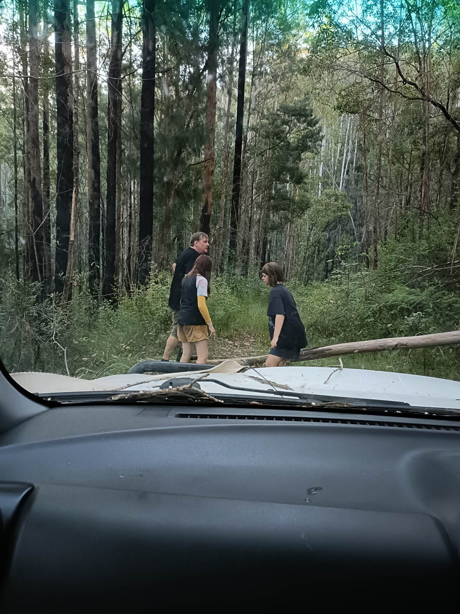 Family spends Christmas night stranded in NSW's Mount Boss forest after ...