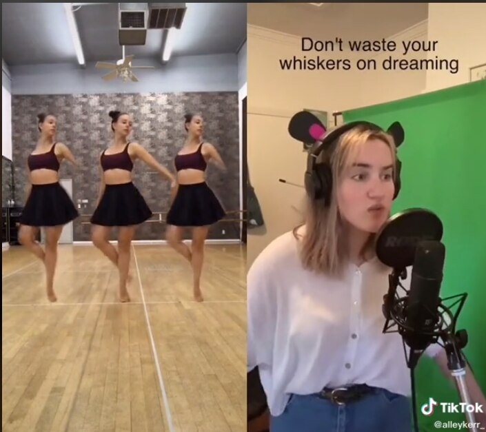 Ratatouille: The Musical takes shape on TikTok - ABC listen