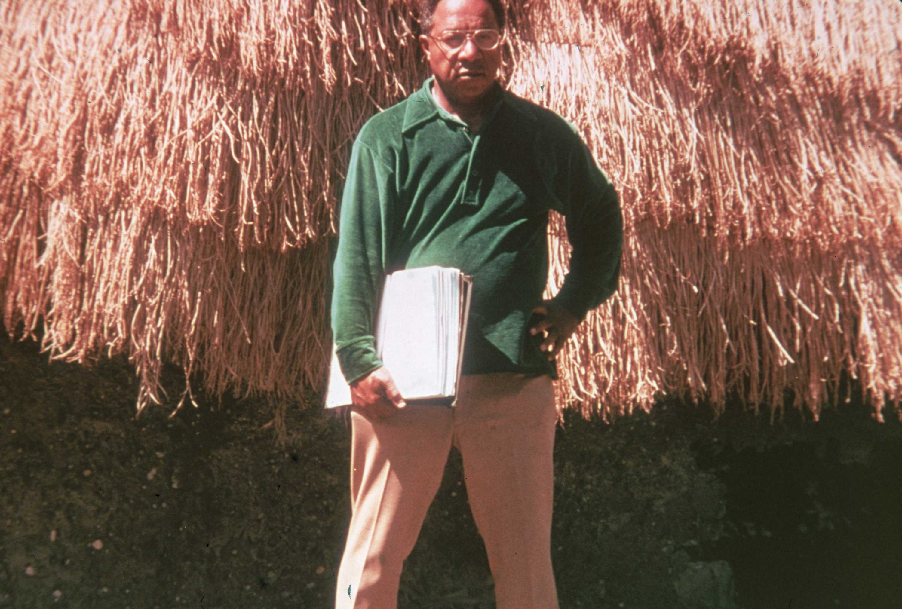 Roots remake retells America's brutal history of slavery - ABC listen