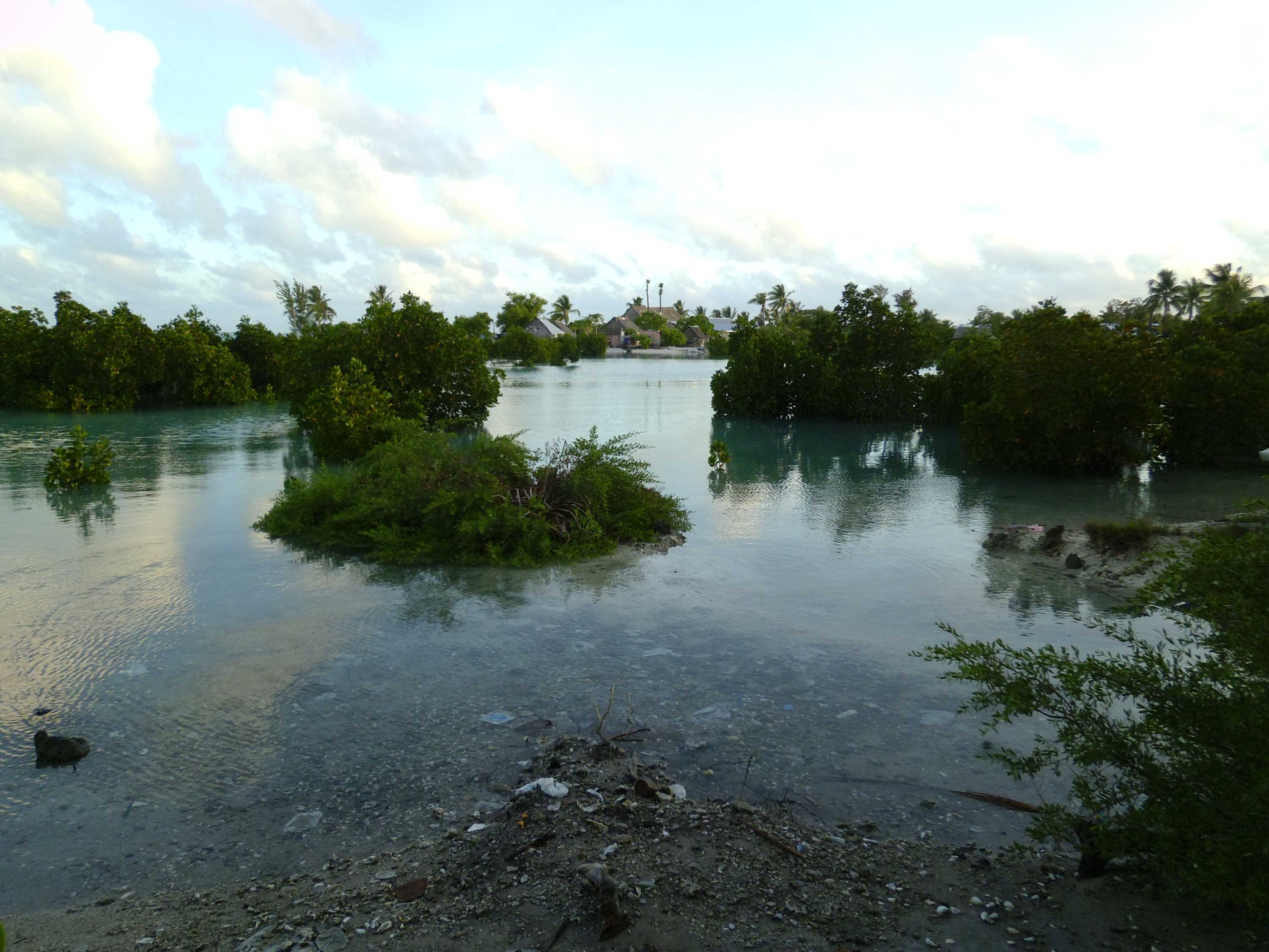 Study English S1 Ep5: Global Warming - ABC Education