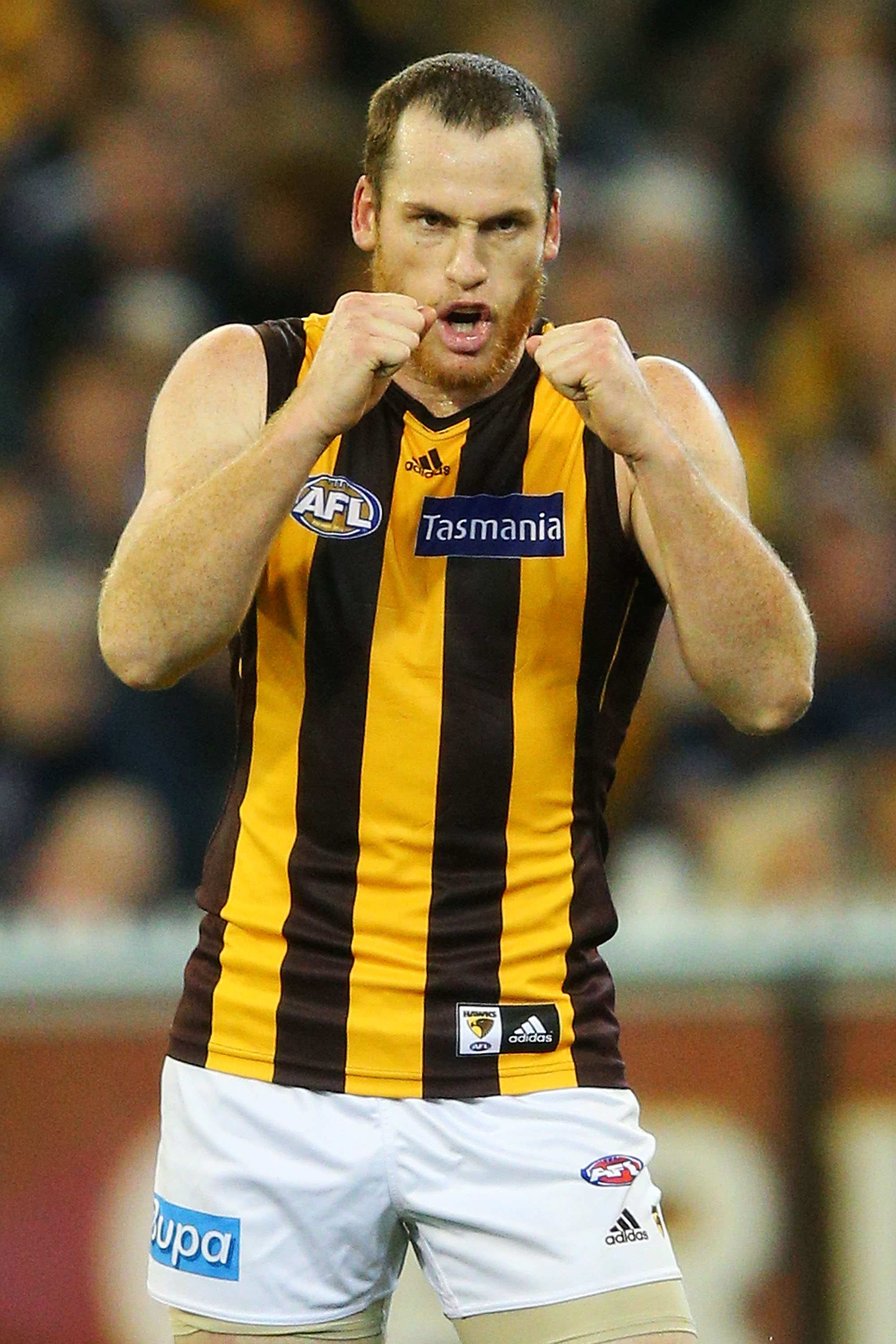 Jarryd Roughead given all clear to return for Hawthorn Hawks in AFL ...