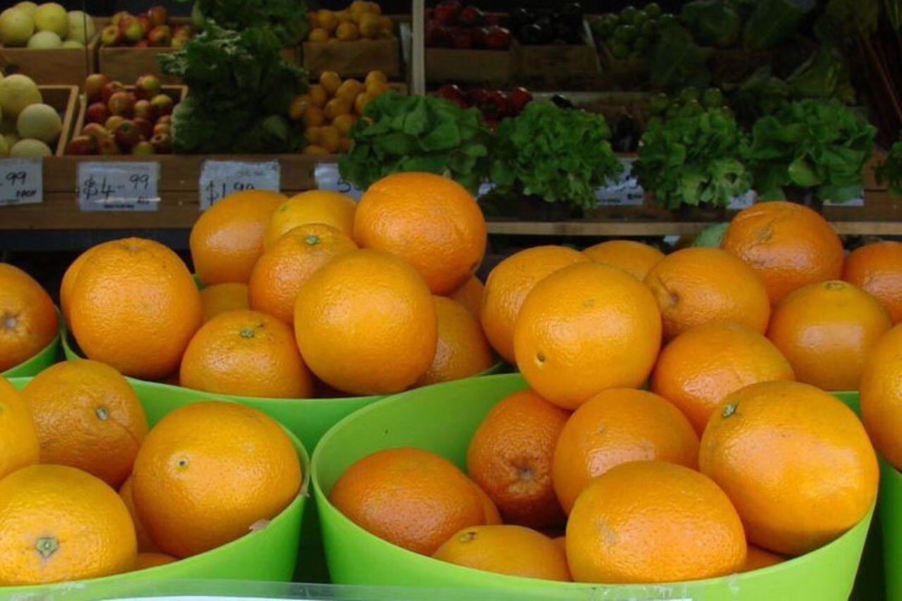 Big orange returns for Riverland growers - ABC News