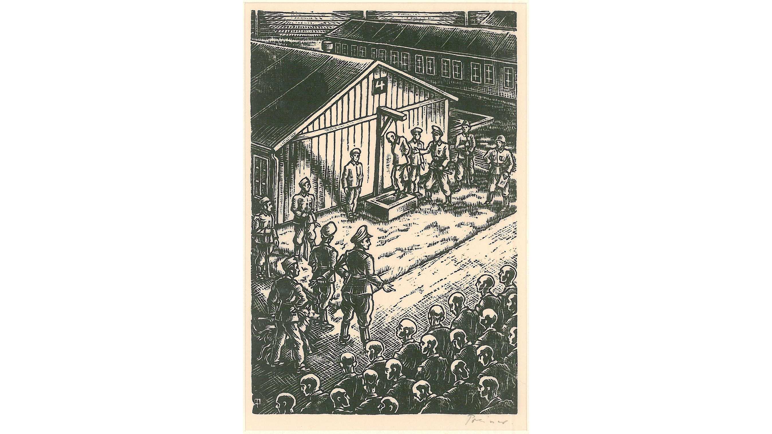 Camps to Liberation - ABC Education