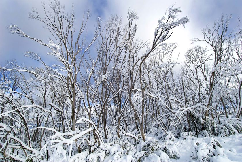 Cold snap set to stay - ABC News