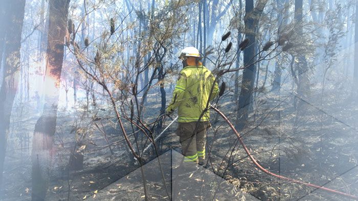 Bushfire Season - Behind The News