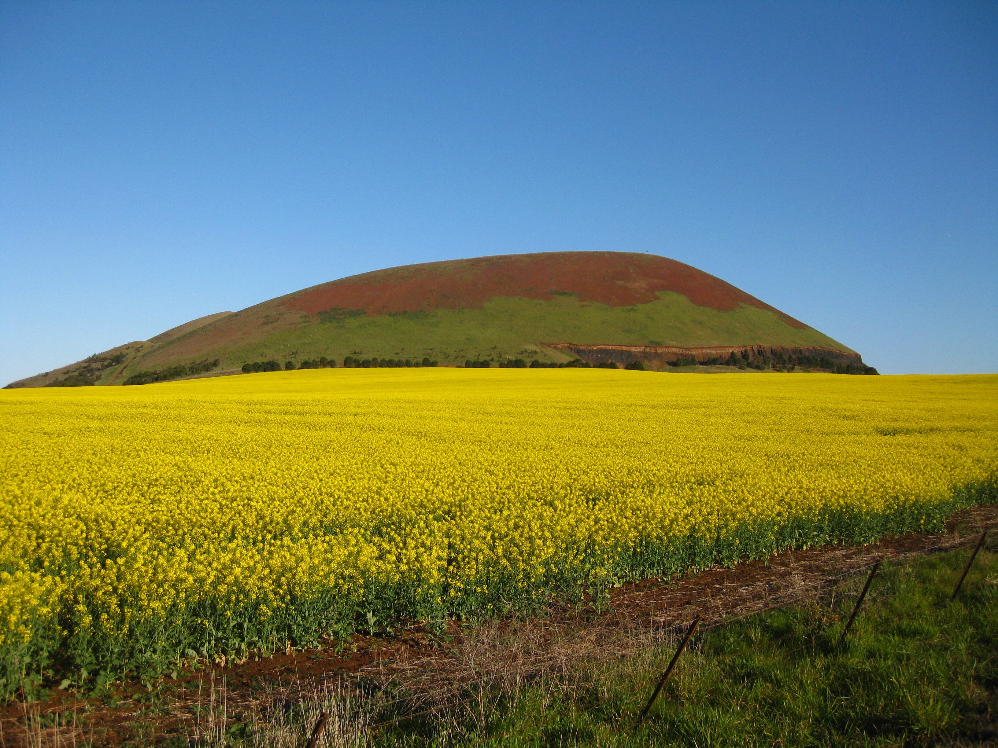 Spot on the Map - Mount Elephant, Victoria - ABC Radio
