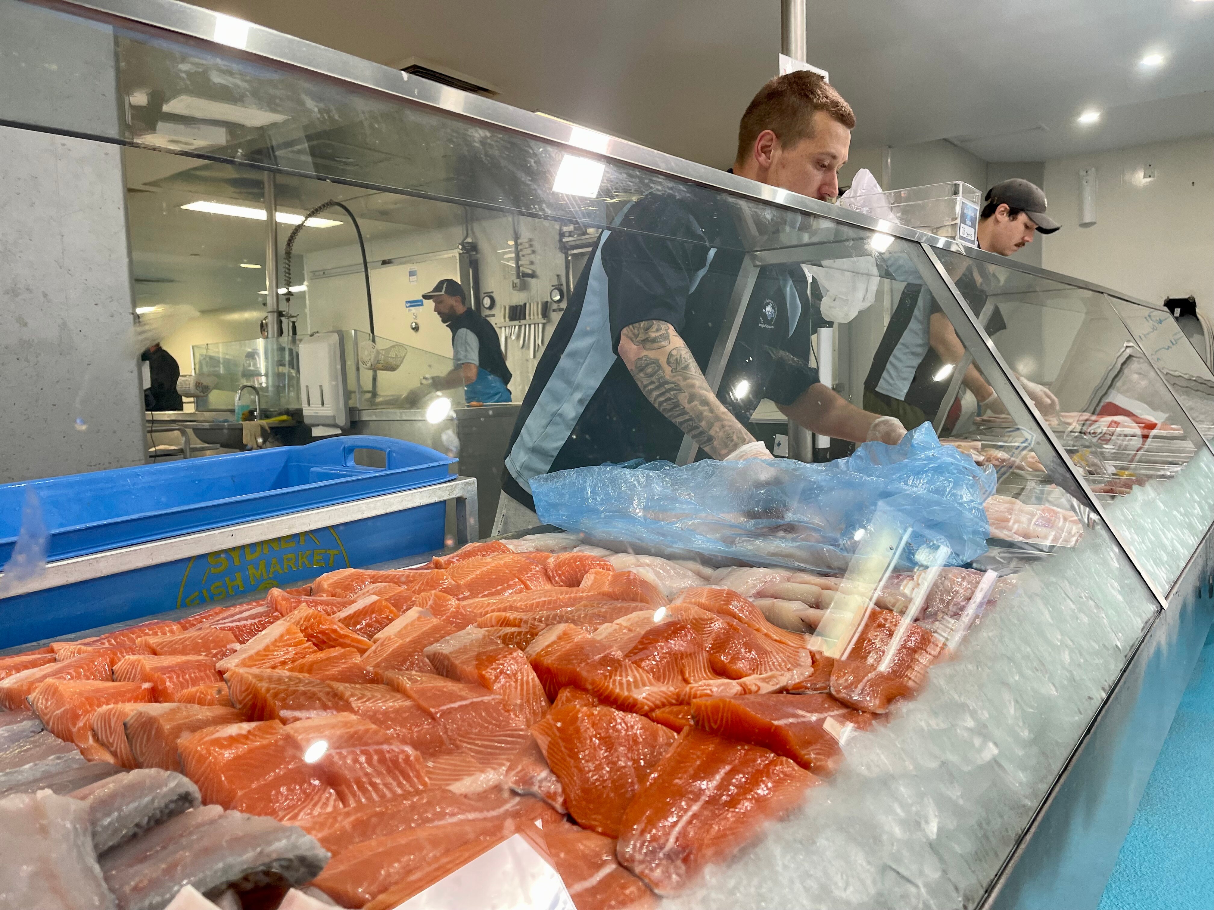 NSW seafood co-ops stocked to the gills as industry watchdog warns of ...