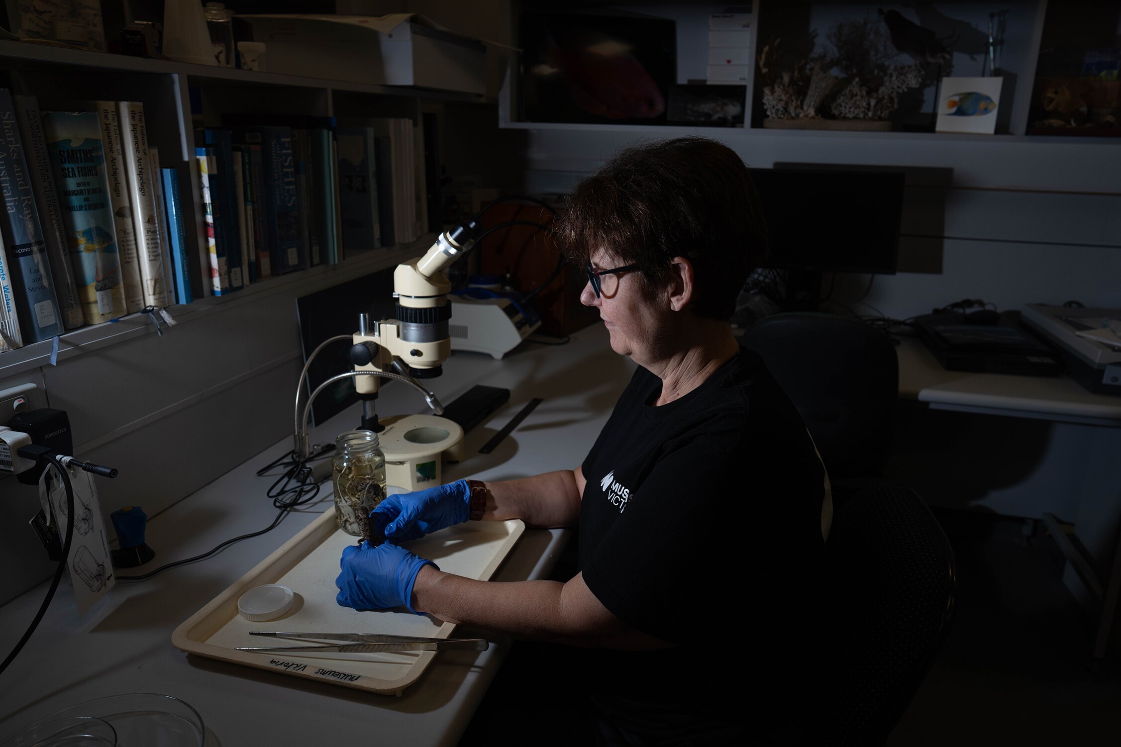 Unlocking secrets deep inside the world's most precious specimens - ABC ...