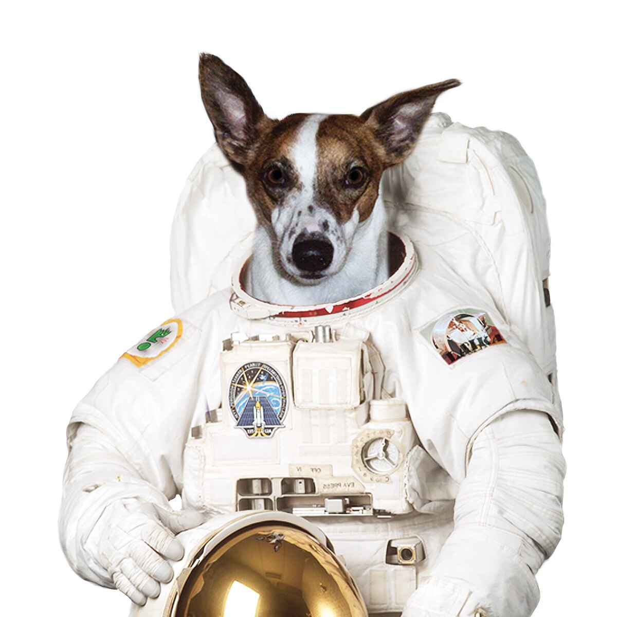 First Dog On The Moon - ABC Radio National