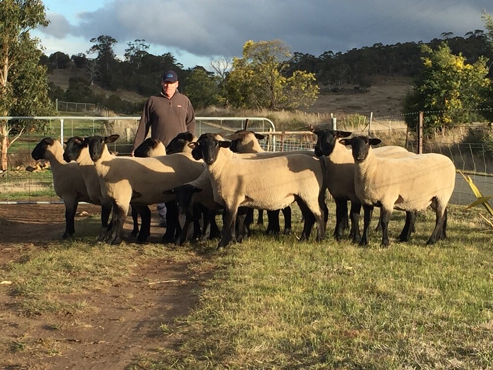 Tasmanian Country Hour - ABC News