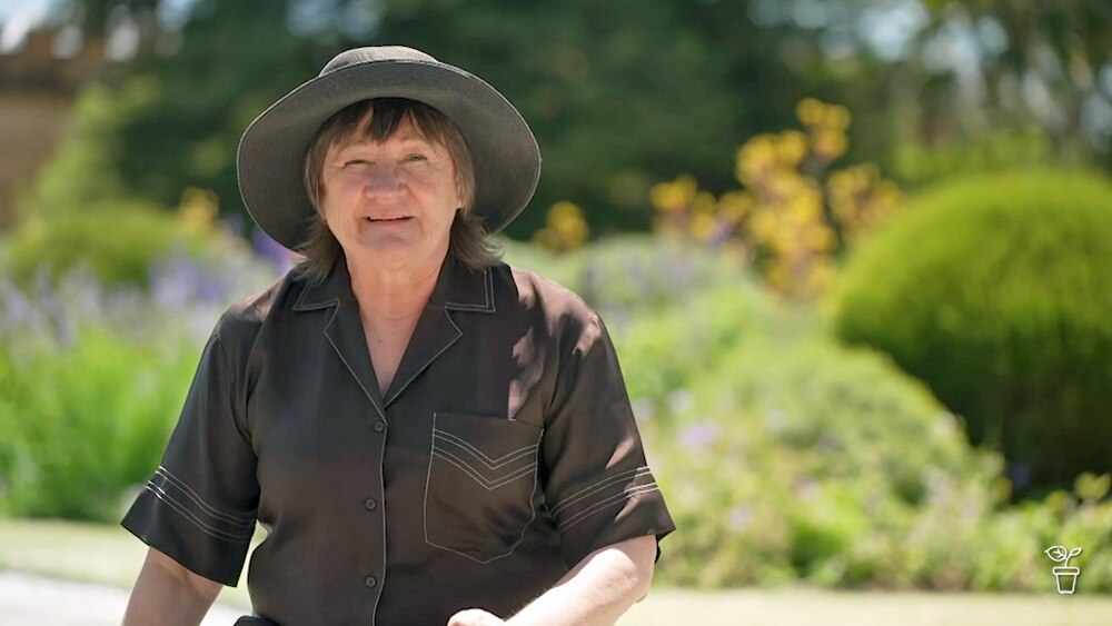 My Garden Path | Jane Irwin - Gardening Australia