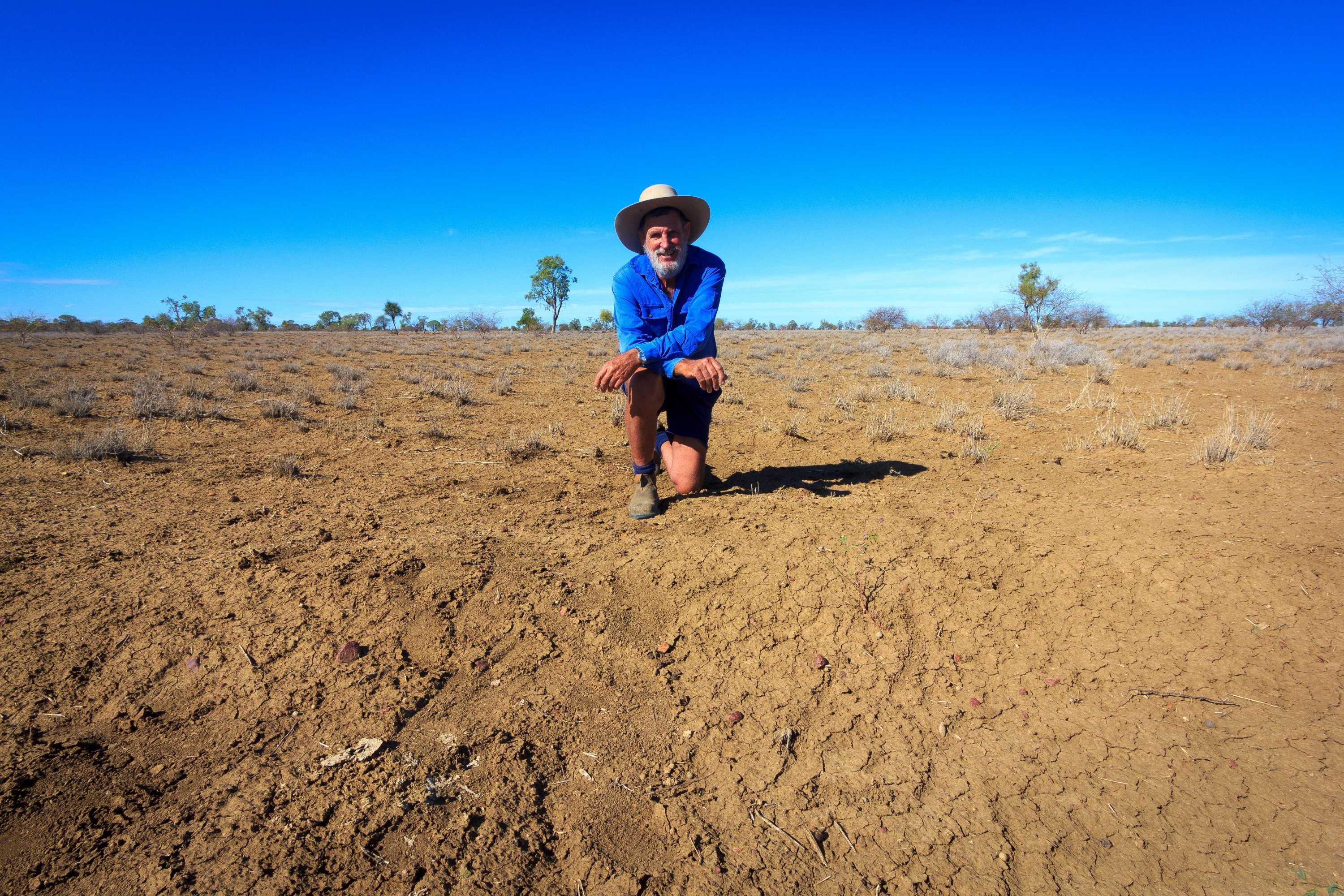 Crippling drought forces Queensland graziers to sell livestock and walk ...