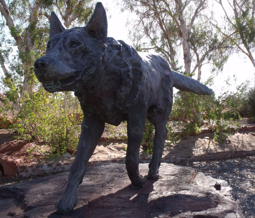 Red Dog to boost tourism profile - ABC News