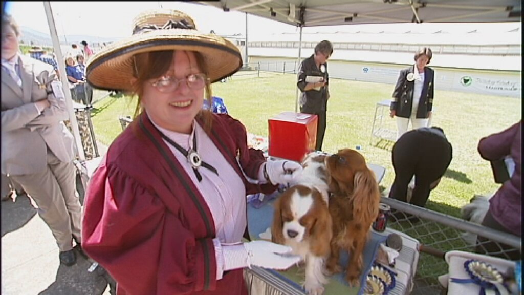 Hobart dog show marks 150 years - ABC News
