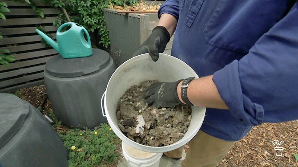 Roots and Shoots with Amber Cunningham and Sabrina Hahn - ABC listen