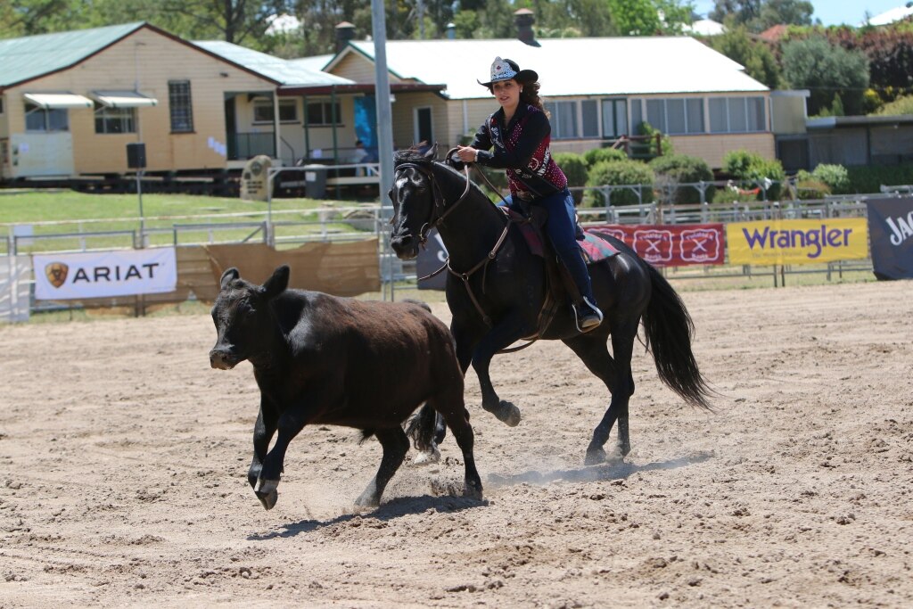 Record rider-numbers at 86th Warwick Campdraft in south east Queensland ...