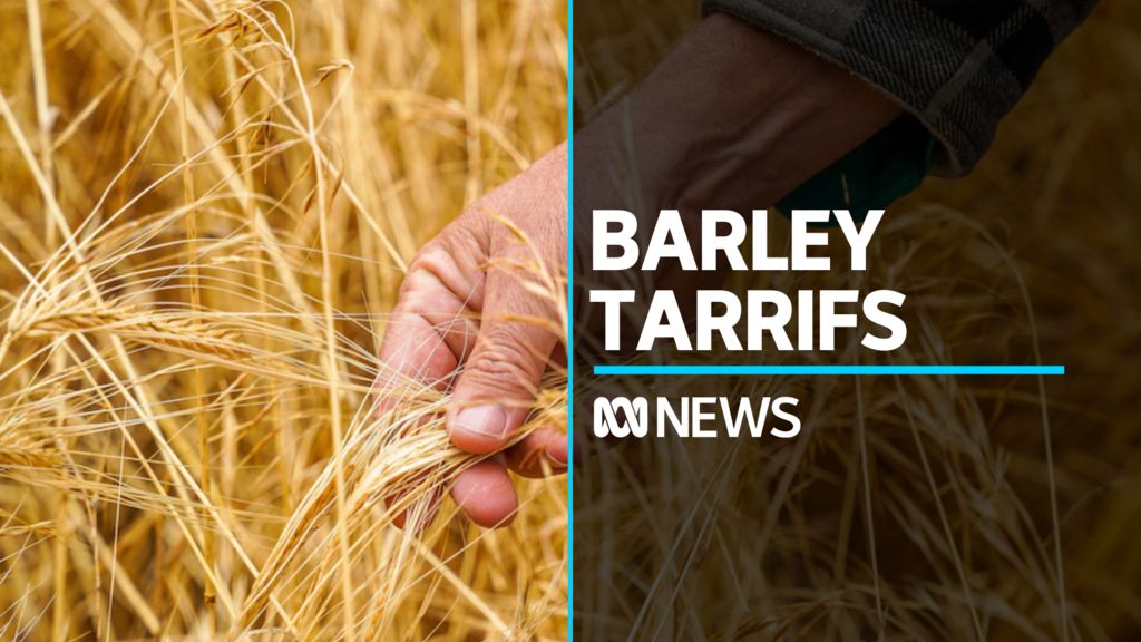 At least two dead amid Myanmar demonstrations - ABC News