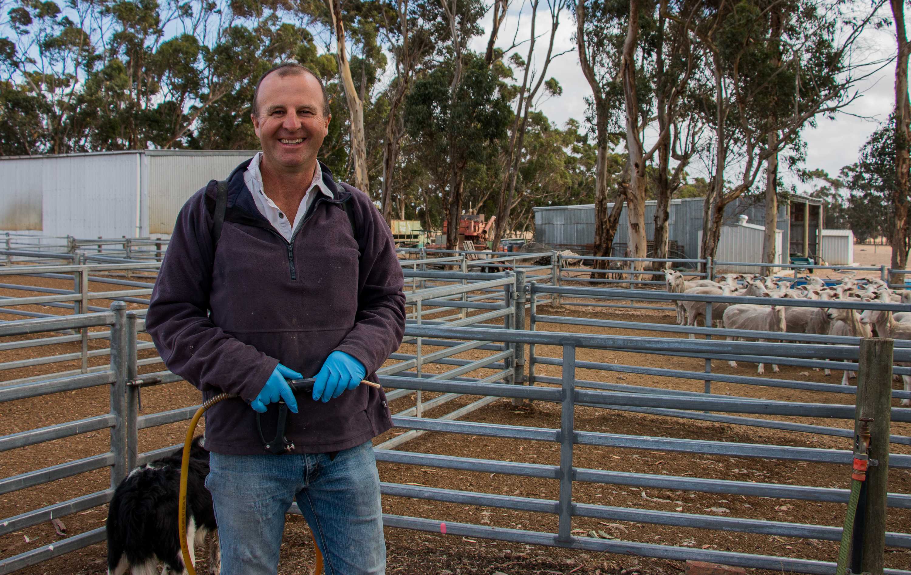 Blood test for farmers using pesticides, chemical the key to preventing ...