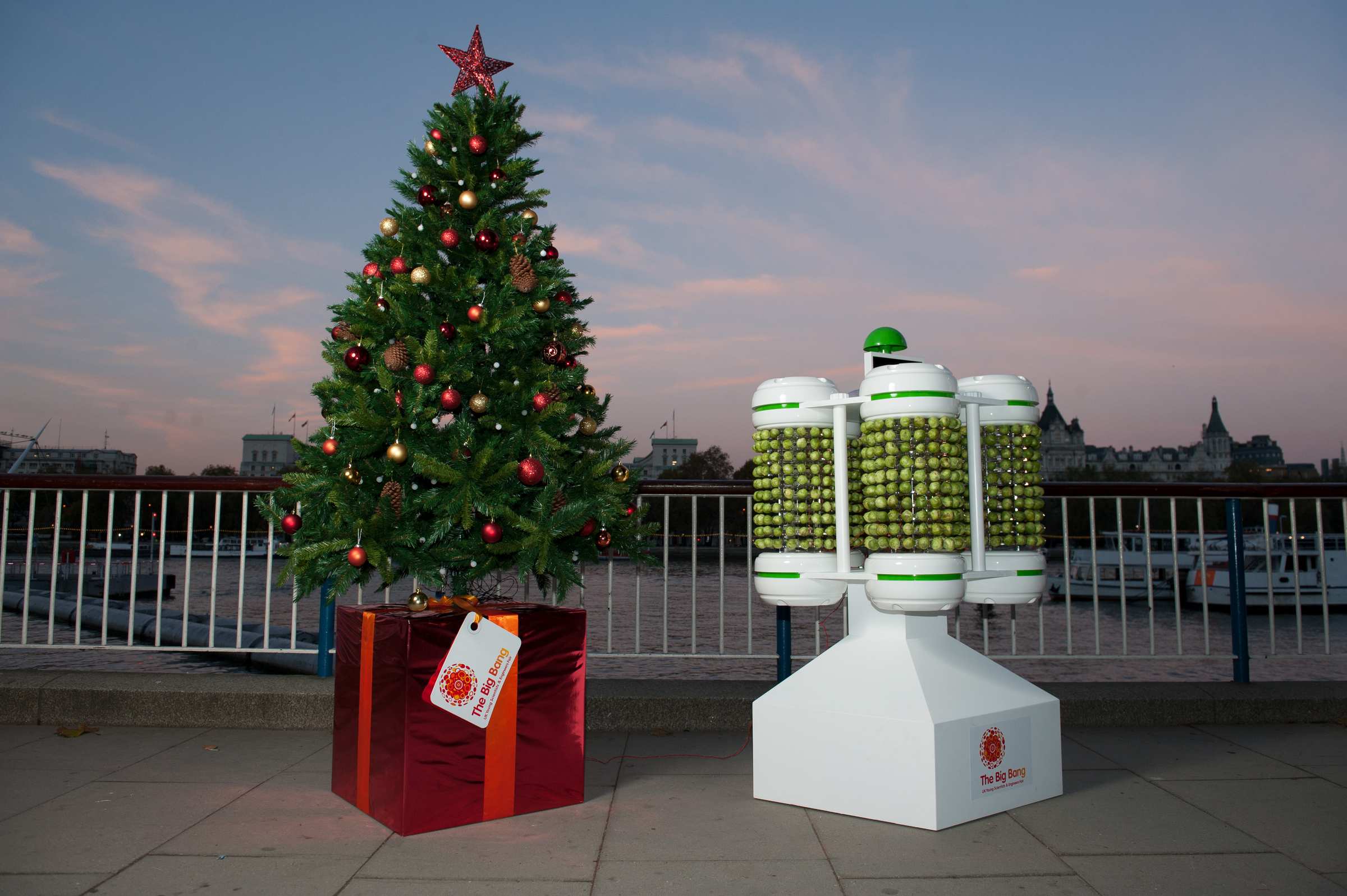 Brussels sprouts power the Christmas spirit - ABC News