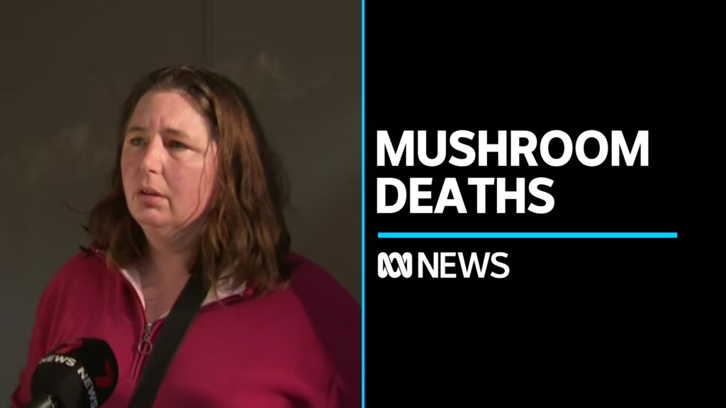 Mushroom cook, Erin Patterson arrested over meal that killed three ...