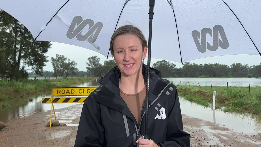 Reporter Romy Stephens on flooding in Wagga Wagga - ABC News