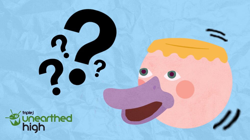 The answers to all your Unearthed High questions - triple j