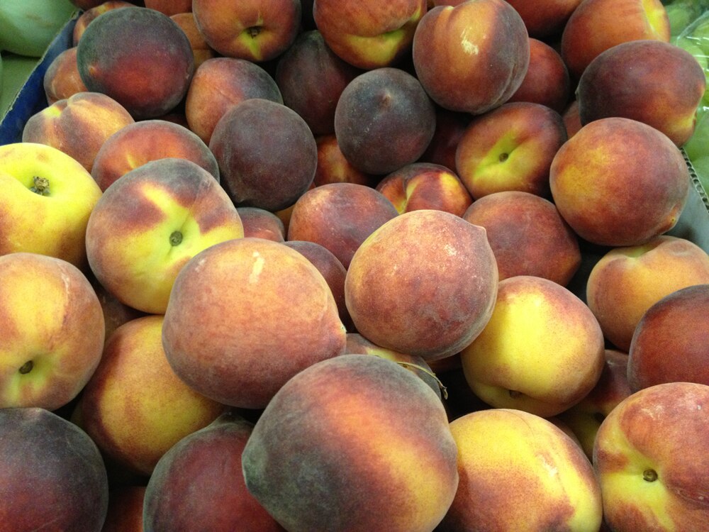 Horticulture Australia funding in holding pattern as summer harvest ...