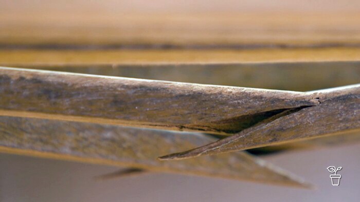 Mr Fix It - Repairing Garden Furniture - Gardening Australia