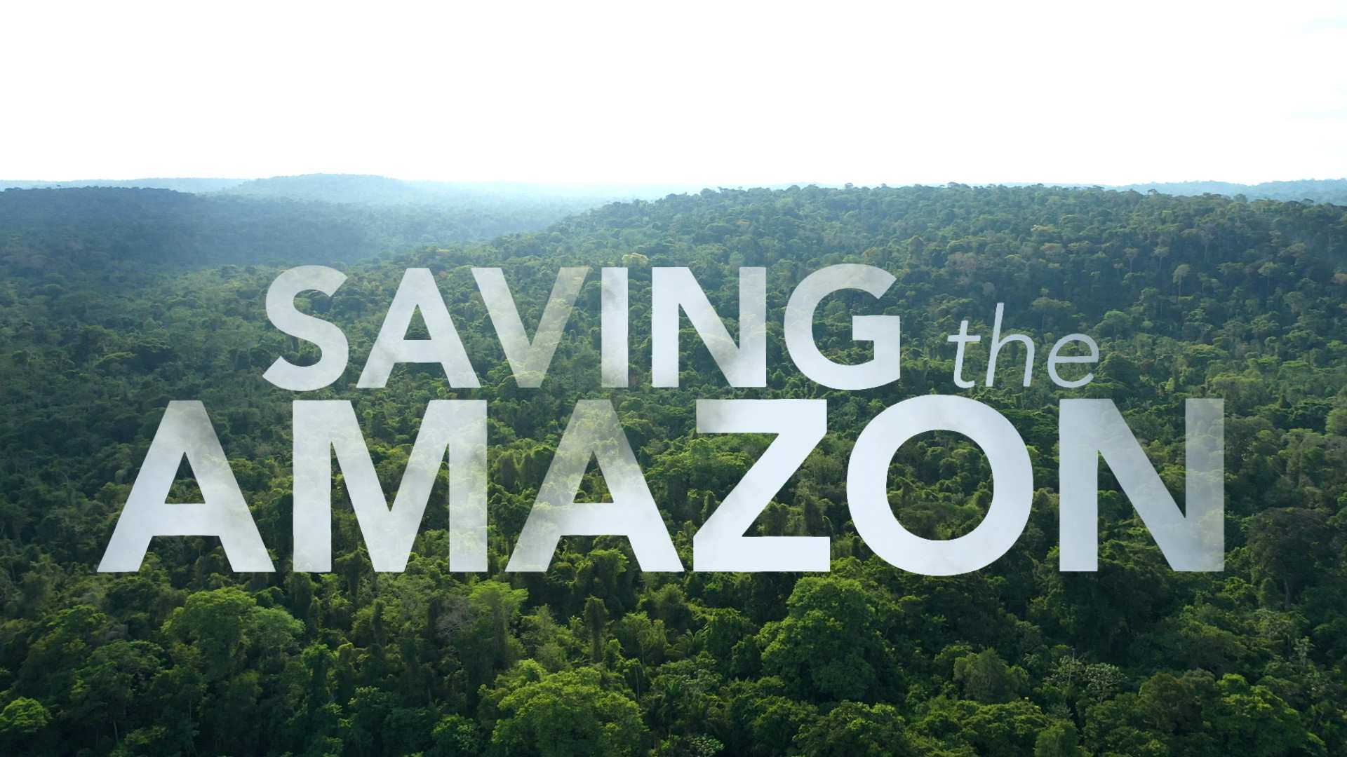 Saving the Amazon - ABC News