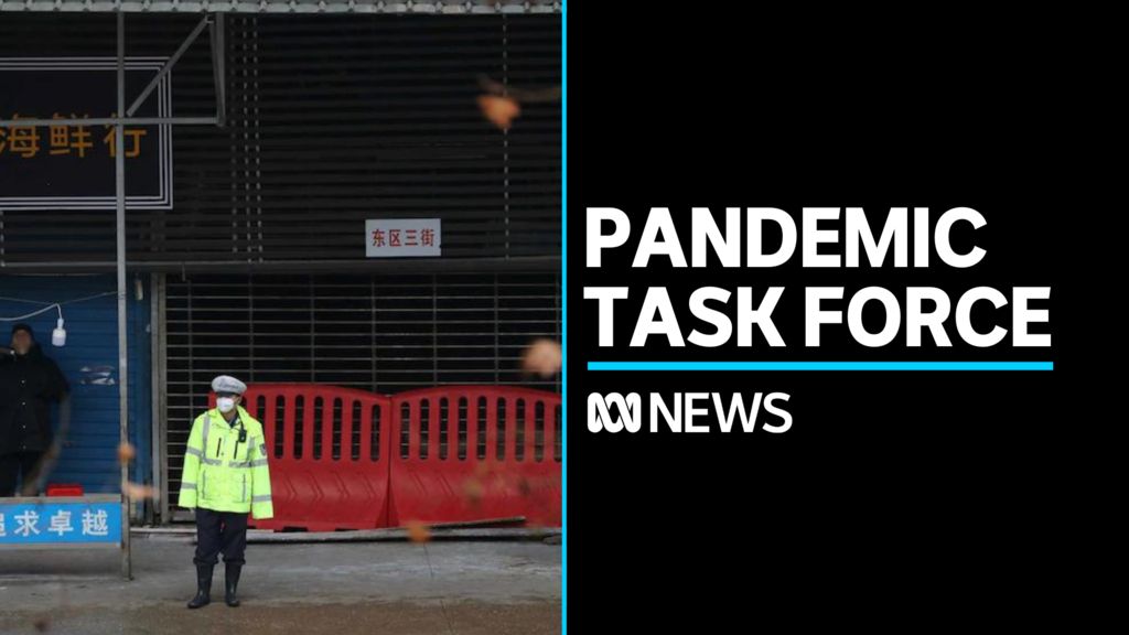 Smart surveillance needed to prepare for next pandemic - ABC News