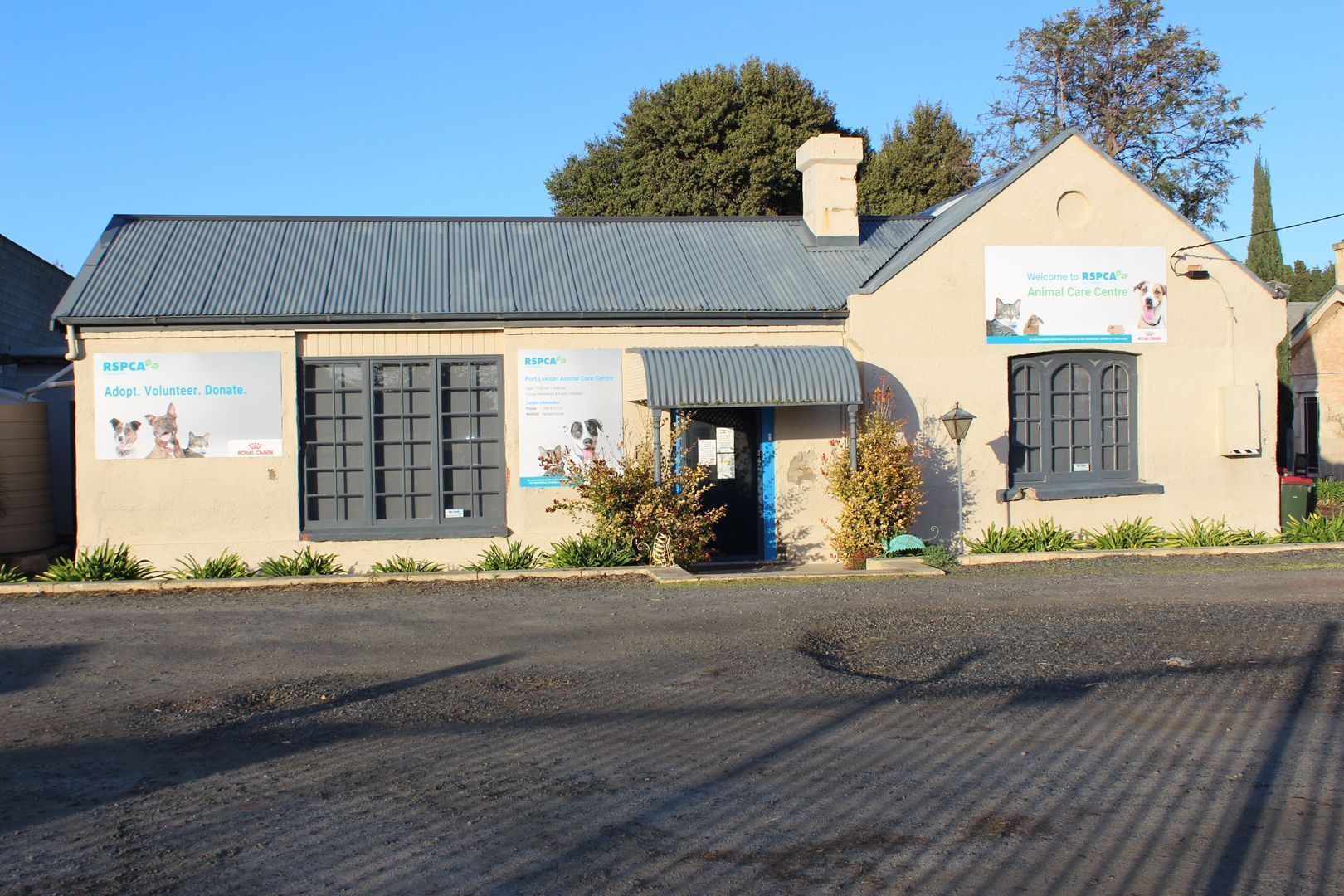 Port Lincoln RSPCA to close despite volunteers warning of stray cat ...