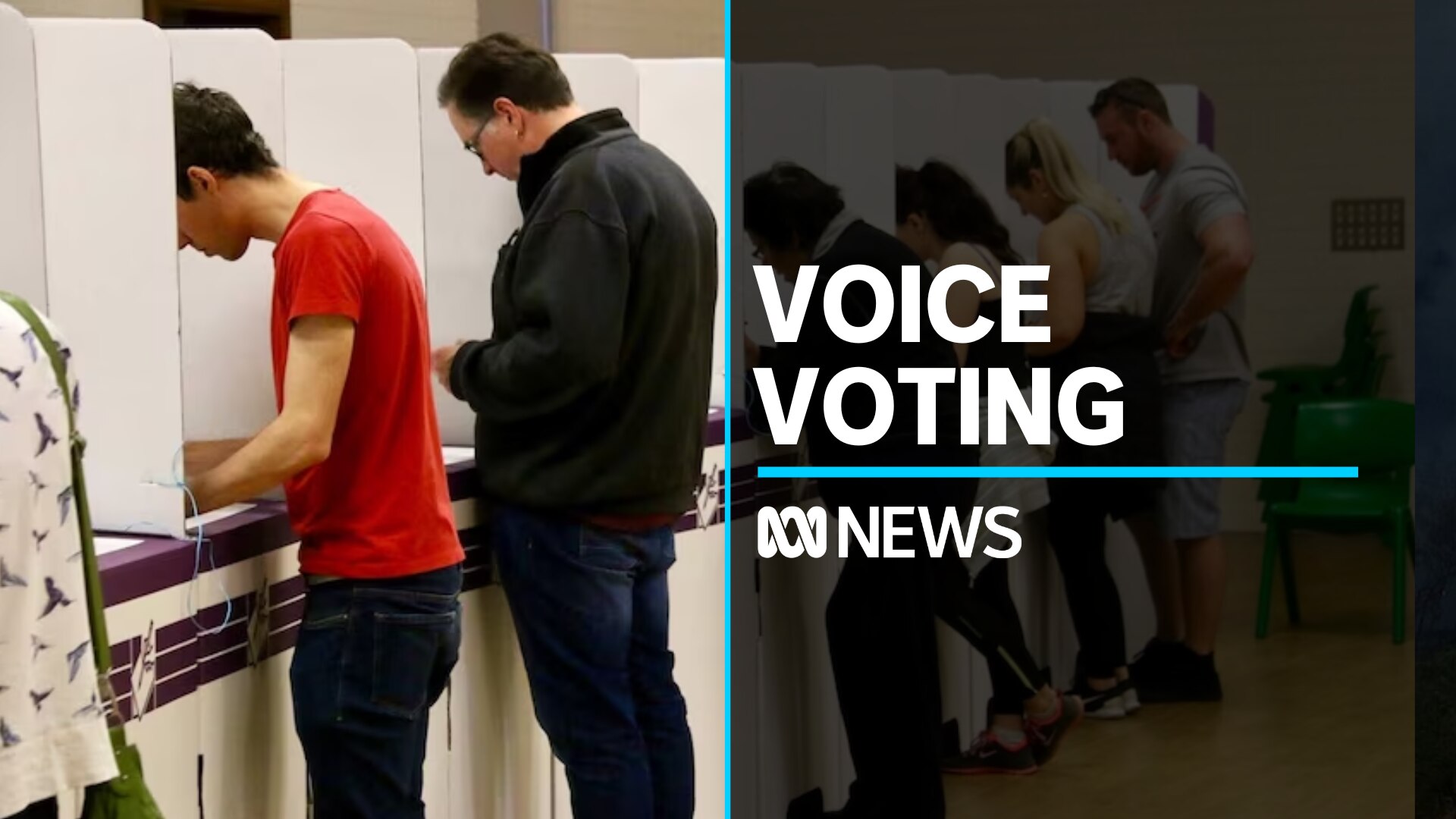 Crash course in referendum voting from the electoral commission - ABC News