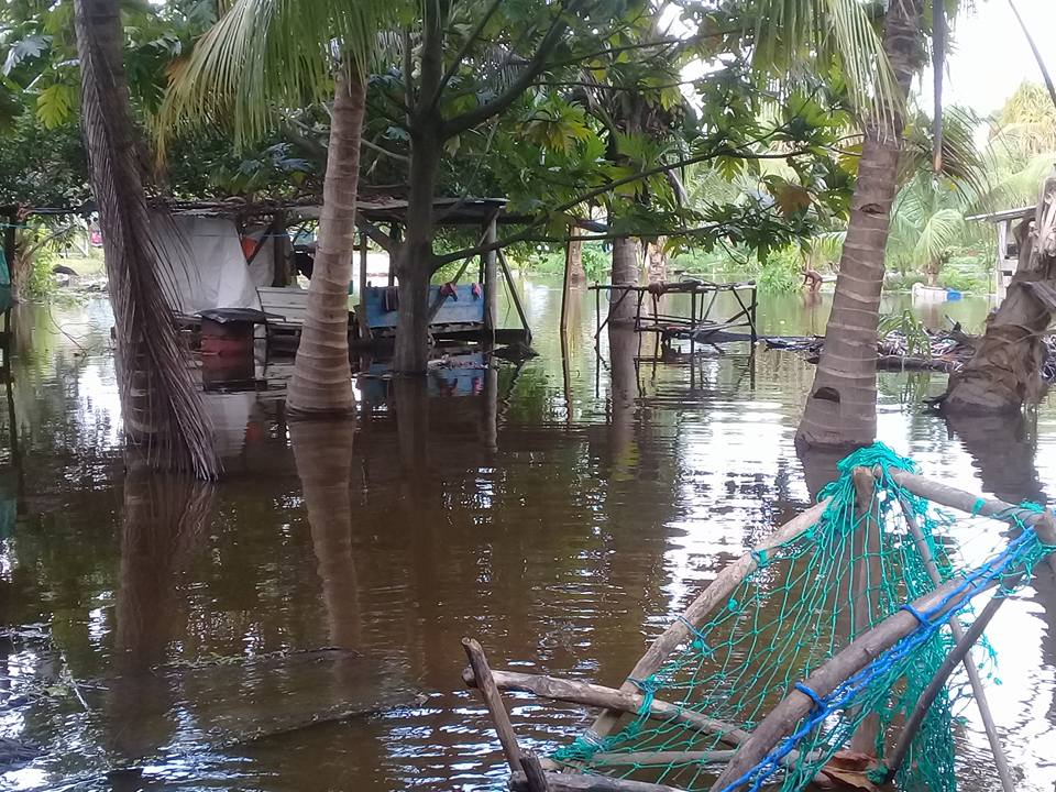 Concerns of contamination in flooded Kiribati - ABC Pacific