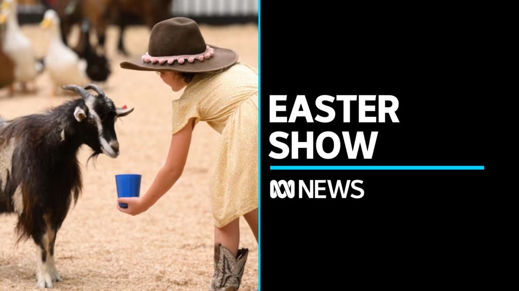Large crowds expected to fill Royal Easter Show - ABC News