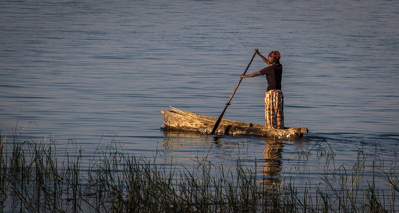 Encounter with David Rutledge - ABC listen