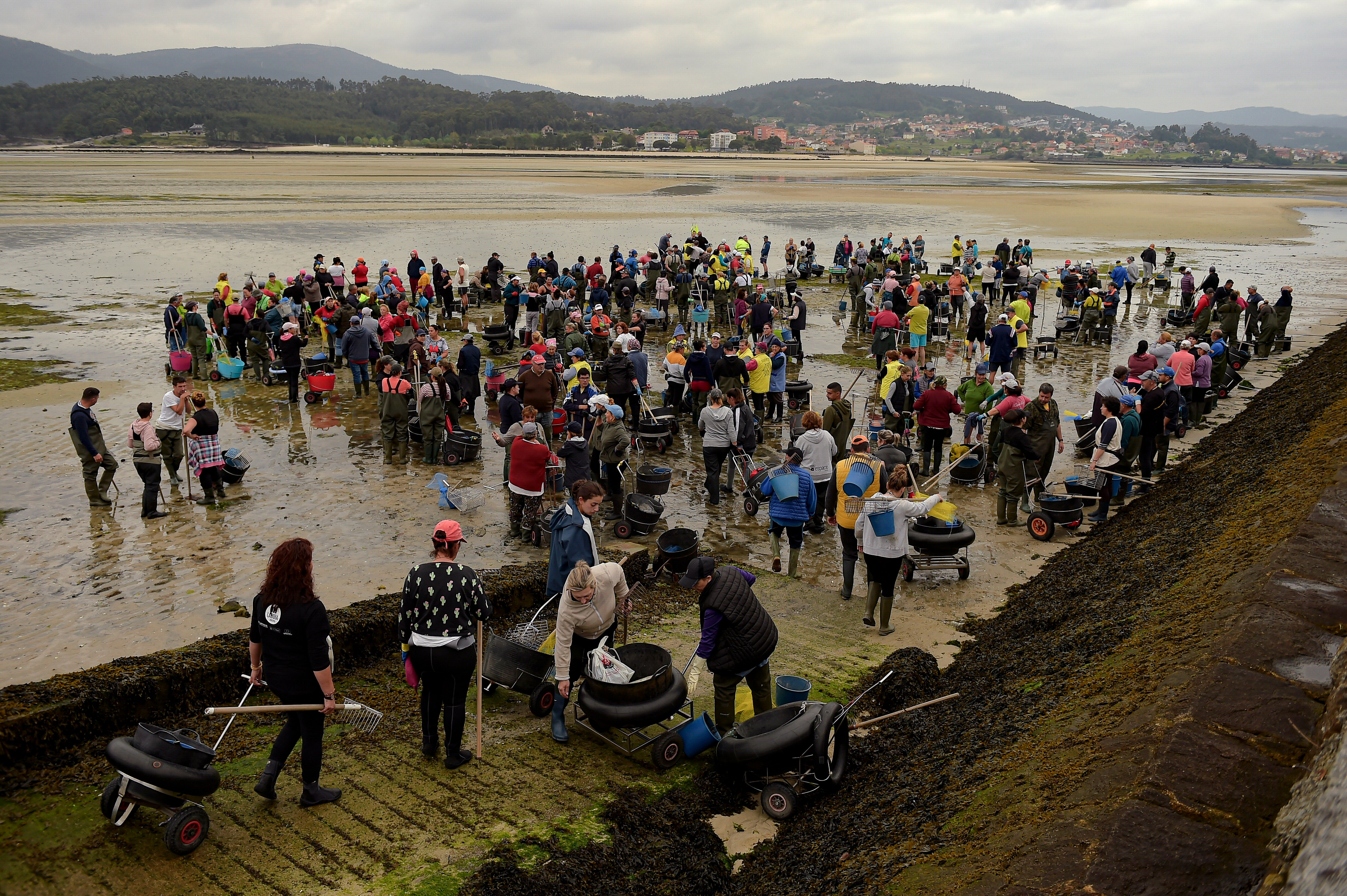 Meet Spain's 'peasant farmers of the sea', the women who spend their ...