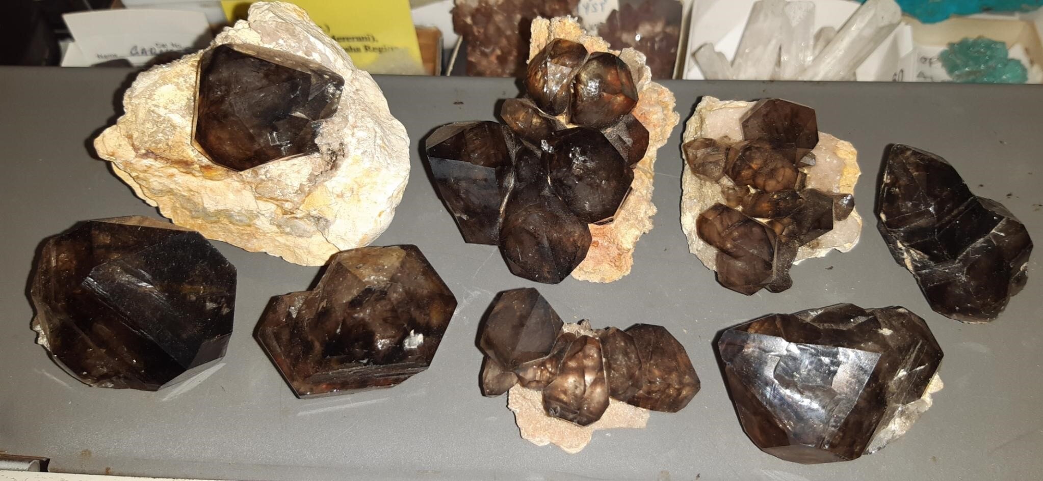 Victorian fossickers encouraged to keep searching for 'underrated' semi ...