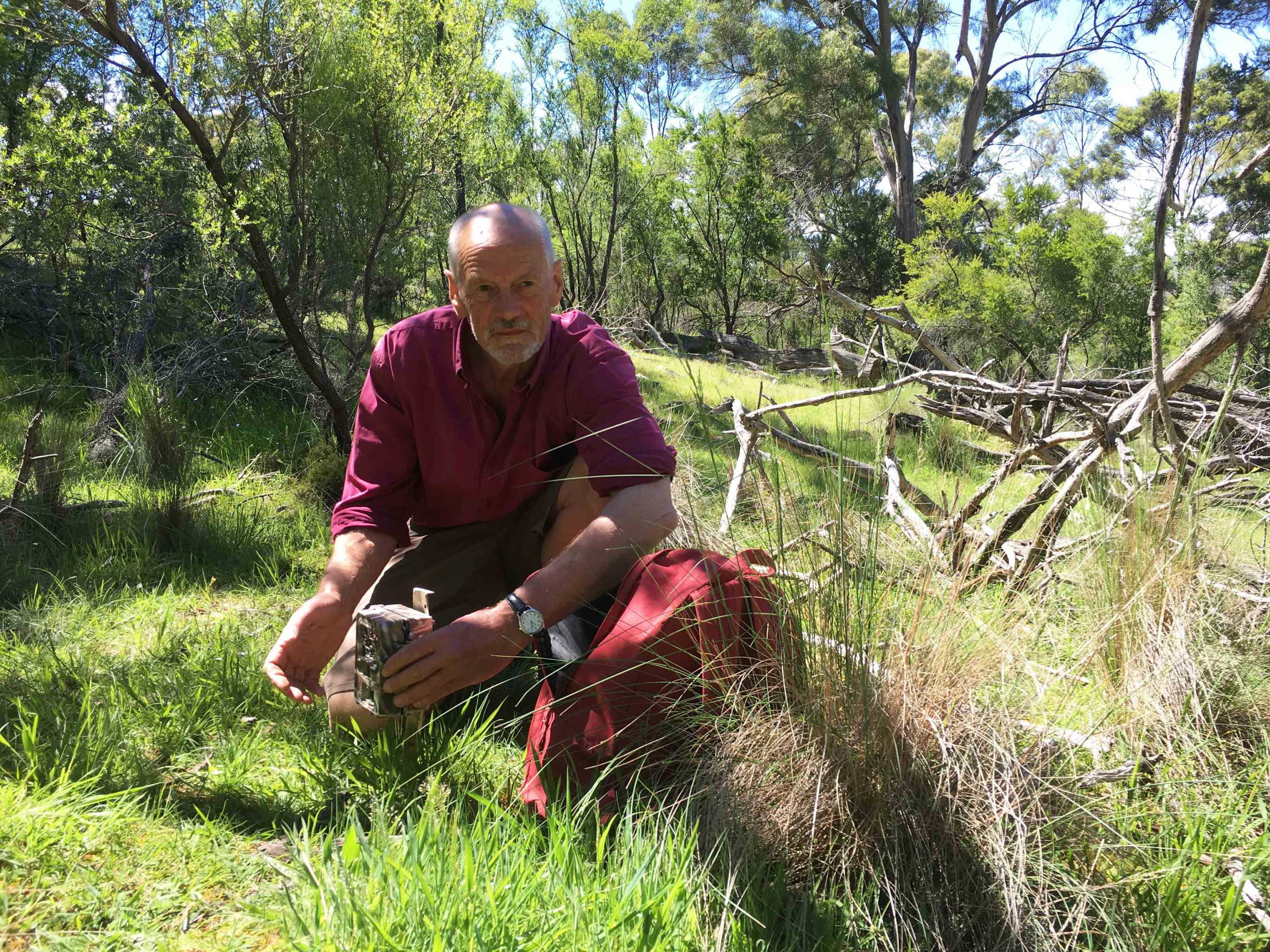 Fox hunt: Tasmania's multi-million-dollar program likely based on hoax ...