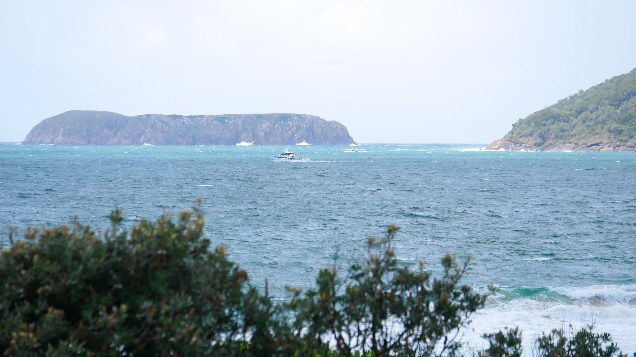 Major land and sea search underway for helicopter carrying man and dog ...