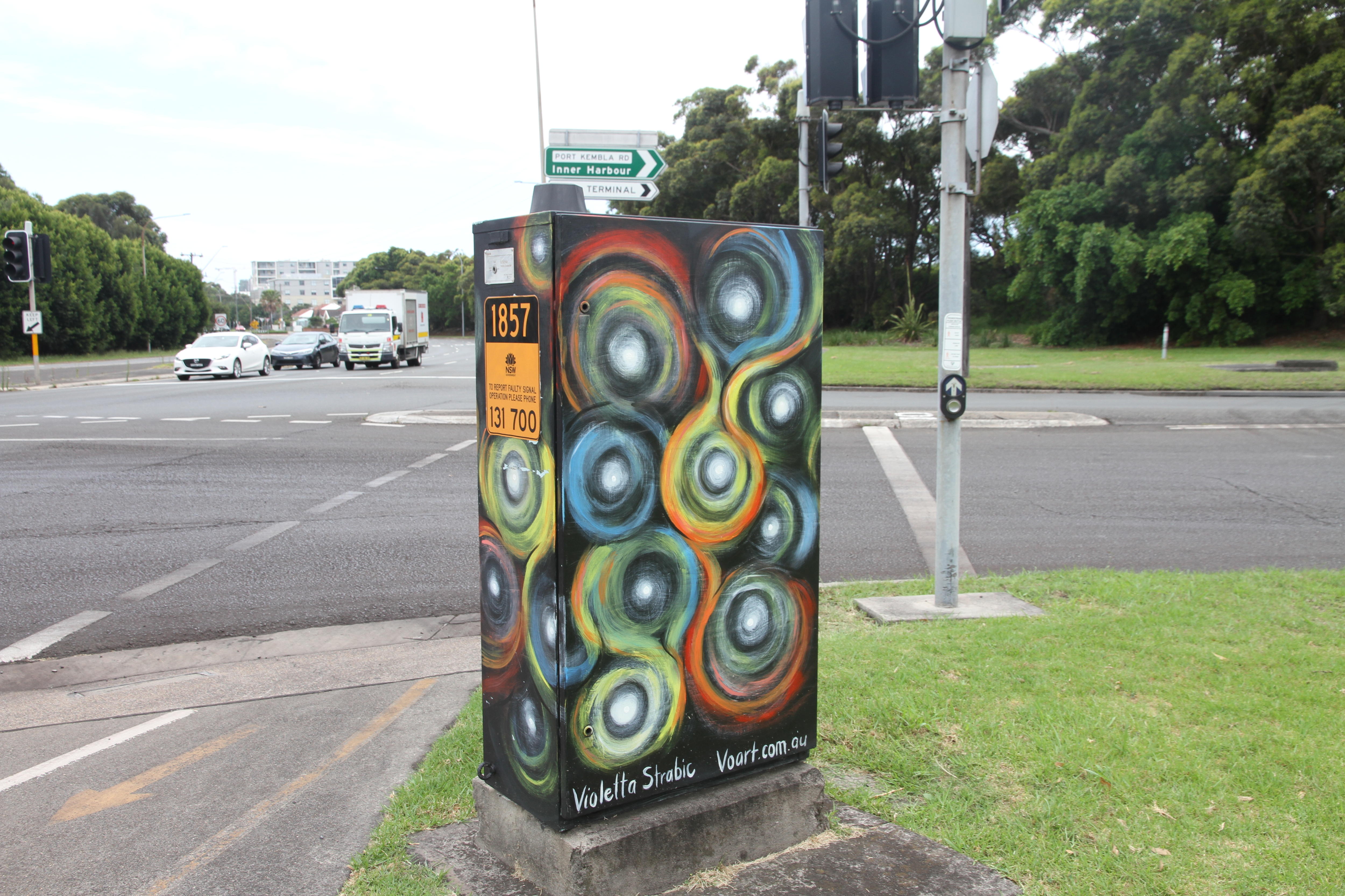 Street artists turn traffic signal boxes across the Illawarra into ...
