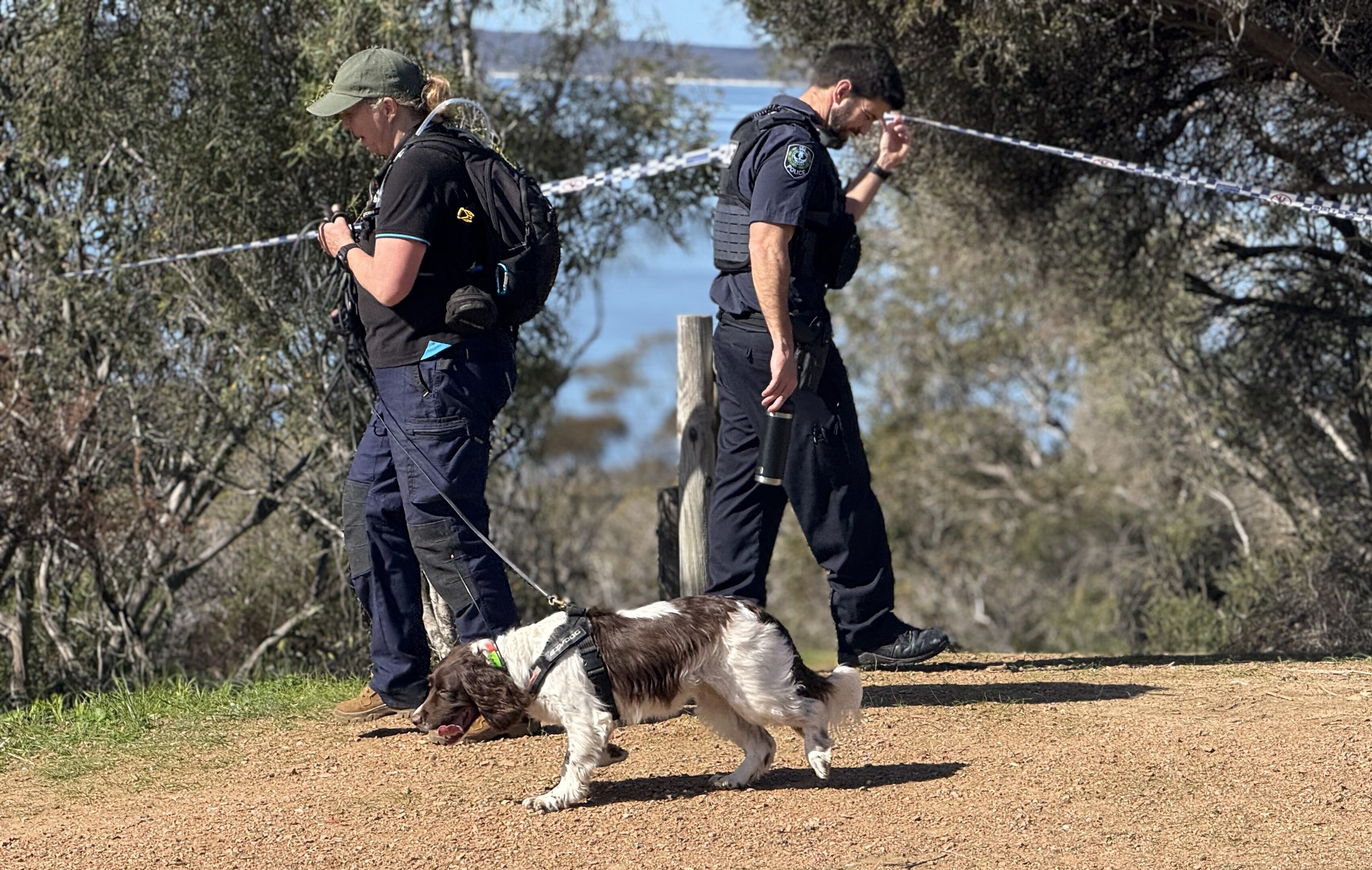 More evidence related to Julian Story's alleged murder found in area ...