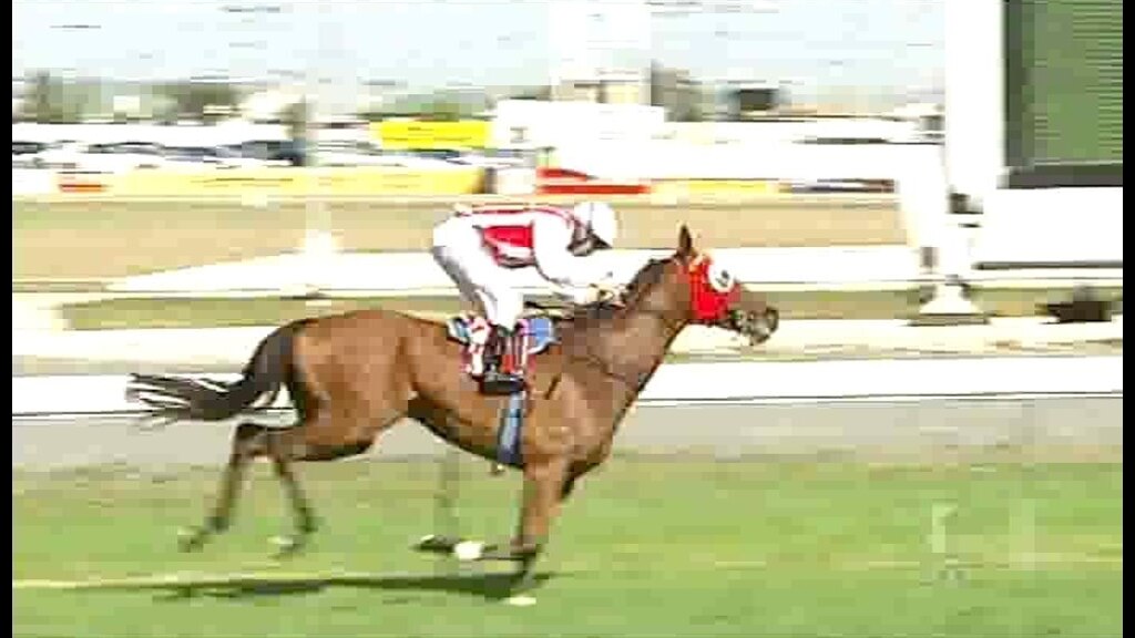 Will there be a Tasmanian racing industry in 20 years? - ABC listen