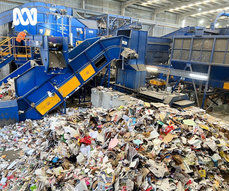 What to put in your recycling bin - ABC listen