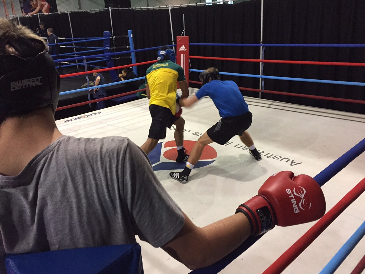 Best young Australian, Northern Irish boxers climb into ring at ...