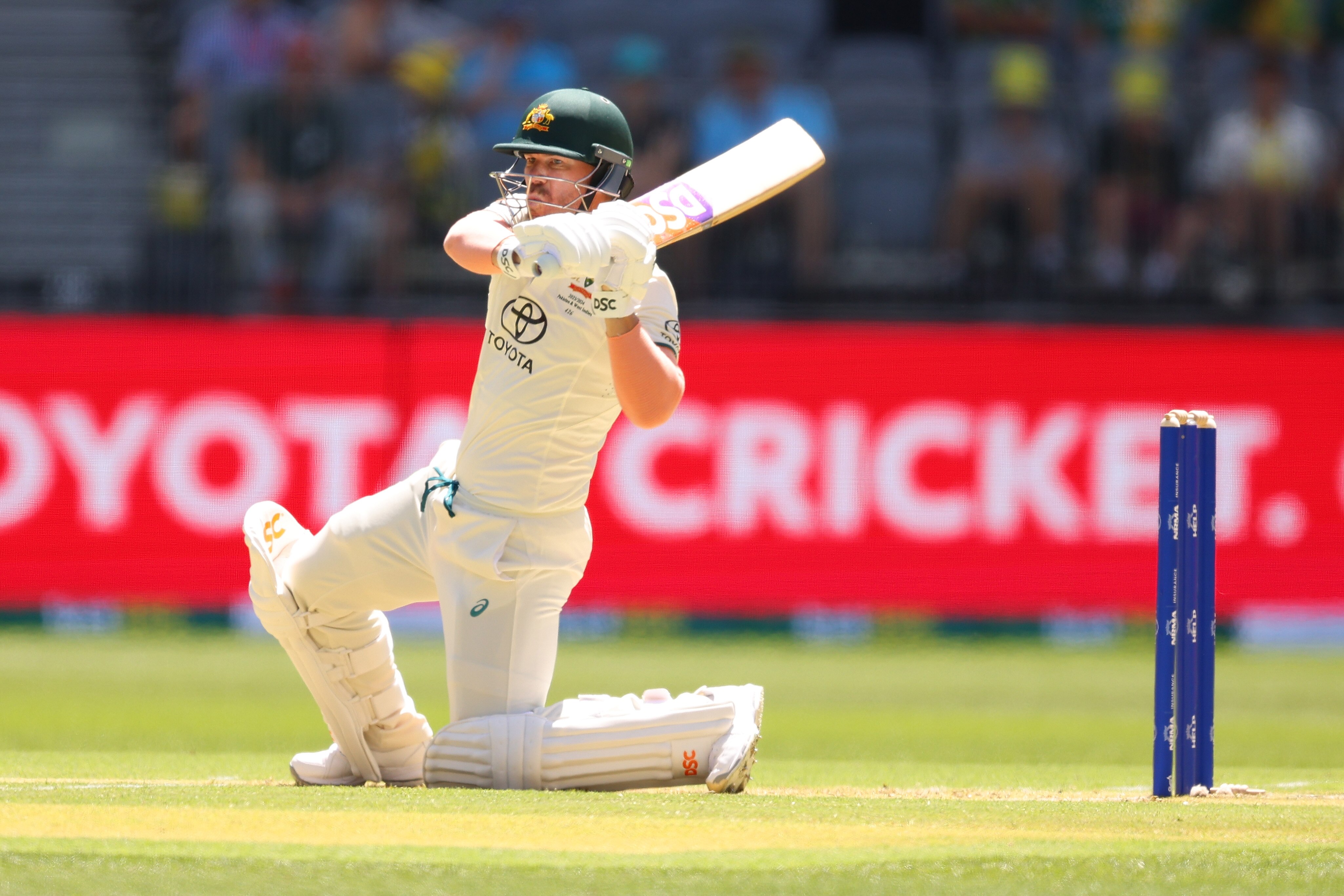 Deadly Australian funnel-web spiders can also kill melanoma cancer ...